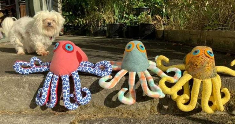 Week 3 – Celebrating Shark Week 2022 with Sammy Shark & his friend ...