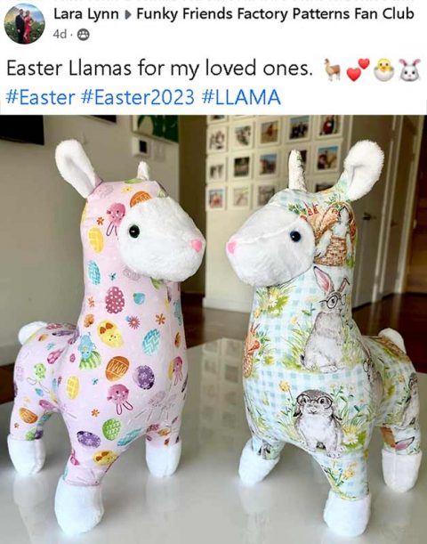 Winner of our Easter SEWING COMPETITION ($50 Funky Friends Factory ...