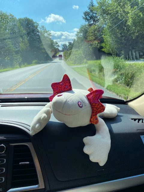 Axolotl sewing pattern ready for release! | Funky Friends Factory