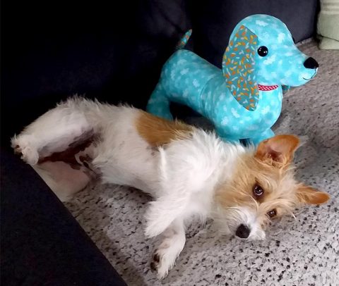 The best dog sewing patterns for plush toys, memory toys, keepsakes ...
