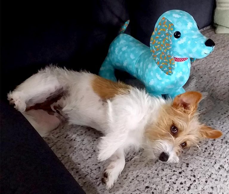 The best dog sewing patterns for plush toys, memory toys, keepsakes ...