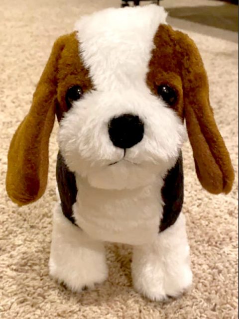 November 2023 MAKER OF THE MONTH – wins a FREE Funky Friends Factory ...