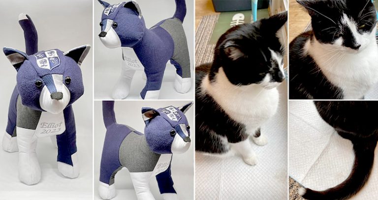 Snazzy Signature toys & Gorgeous Graduation toys 2024! | Funky Friends ...