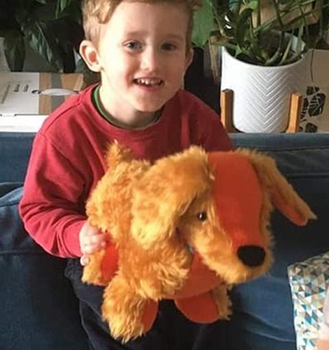The best dog sewing patterns for plush toys, memory toys, keepsakes ...