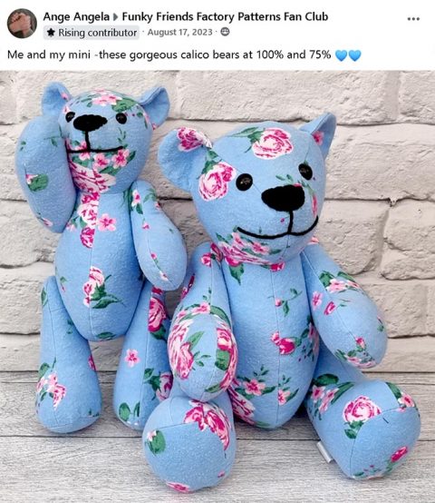 August 2024 MAKER OF THE MONTH – wins a FREE Funky Friends Factory ...