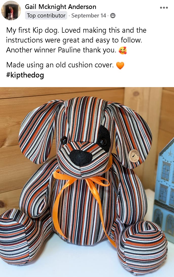 September 2024 MAKER OF THE MONTH – wins a FREE Funky Friends Factory ...