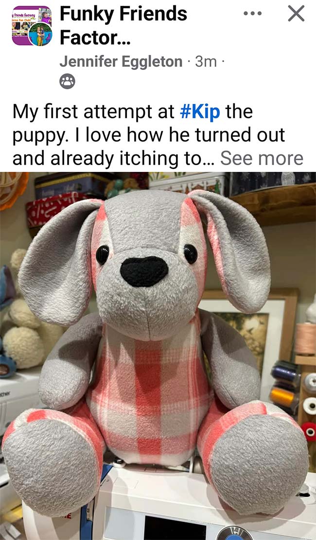 January 2025 MAKER OF THE MONTH – wins a FREE Funky Friends Factory ...