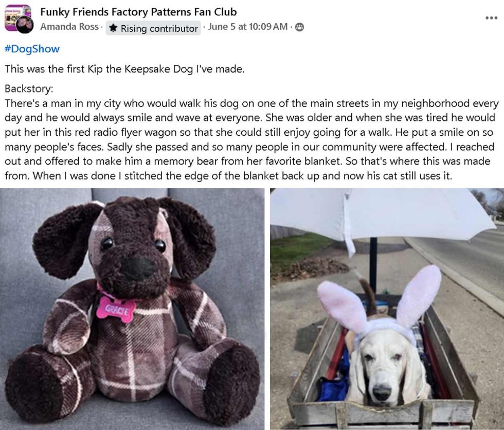 Pretty pooch pics – some lovely dog show entries! | Funky Friends Factory