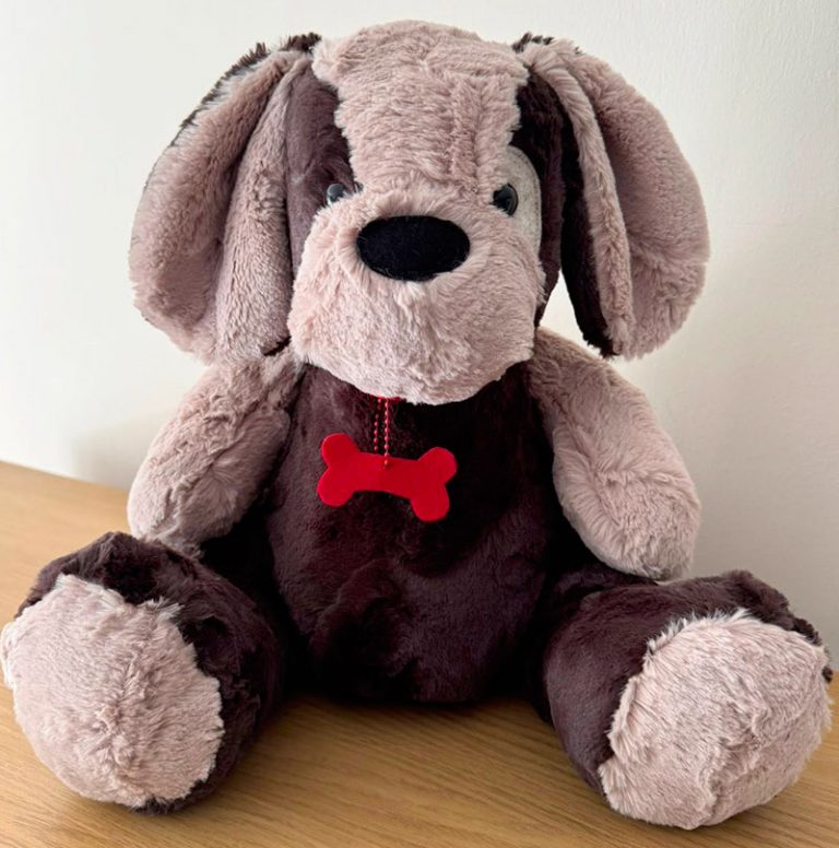 Pretty pooch pics – some lovely dog show entries! | Funky Friends Factory