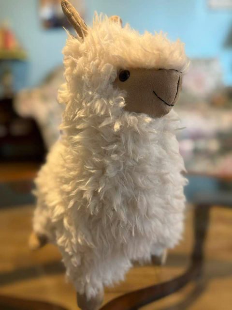 April 2025 MAKER OF THE MONTH – wins a FREE Funky Friends Factory ...