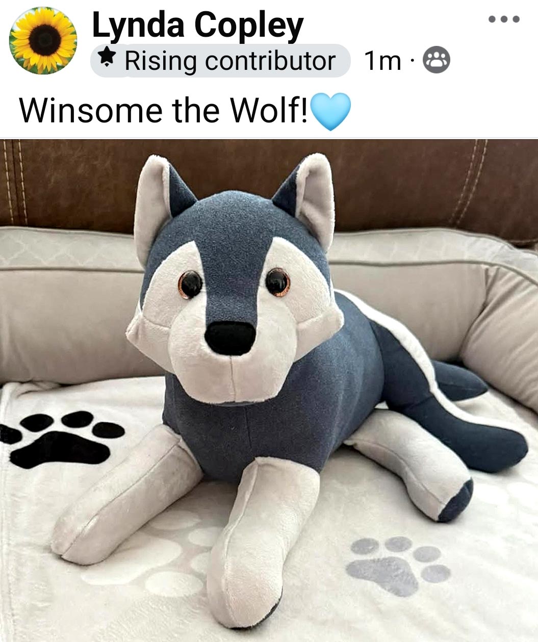 April 2025 MAKER OF THE MONTH – wins a FREE Funky Friends Factory ...