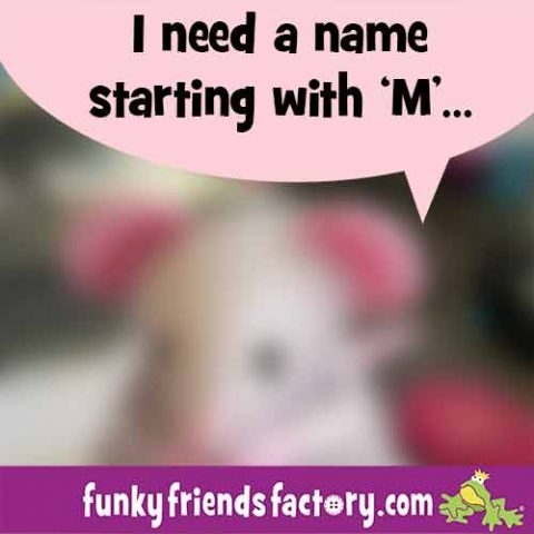 Blog | Funky Friends Factory